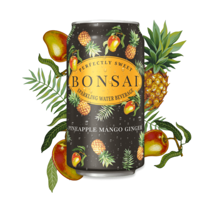 Pineapple Mango Ginger - Bonsai Sparkling Water